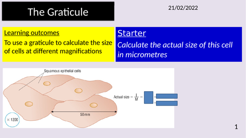 AQA Cell structure Biology A level | Teaching Resources
