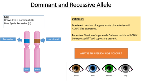 Recessive Definition