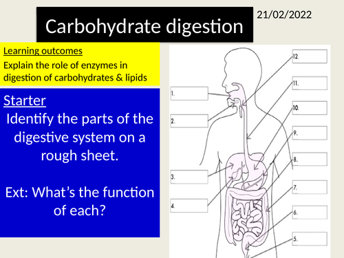 AQA Digestion, DNA, ATP, Water A level Biology | Teaching Resources