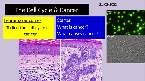AQA Cell cycle, Protein synthesis AS Biology | Teaching Resources