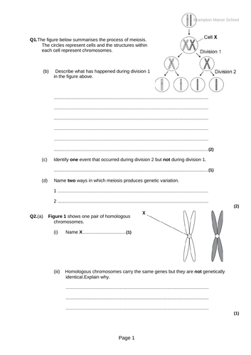 AQA Cell cycle, Protein synthesis AS Biology | Teaching Resources