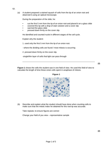 AQA Cell cycle, Protein synthesis AS Biology | Teaching Resources