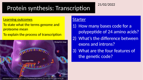 AQA Cell cycle, Protein synthesis AS Biology | Teaching Resources