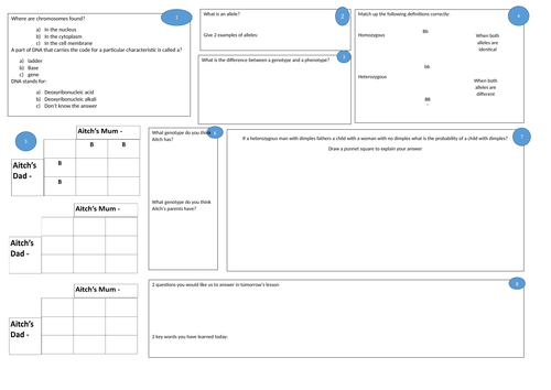 Alleles and Punnett Squares/Genetic Cross | Teaching Resources