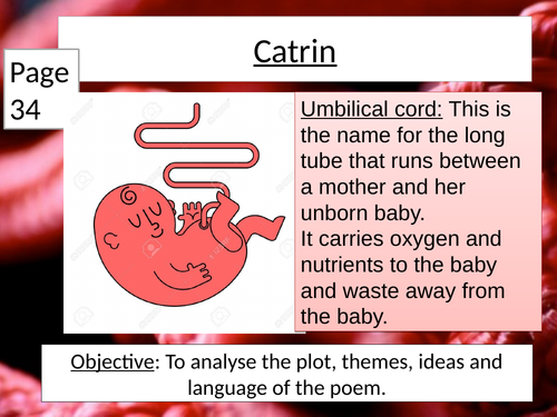Catrin GCSE Edexcel Conflict Poetry Anthology | Teaching Resources