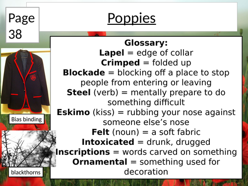 Poppies GCSE Edexcel Conflict Poetry Anthology | Teaching Resources