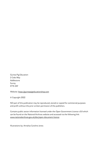 Florence Nightingale Biography and Comprehension (9-12 years ...