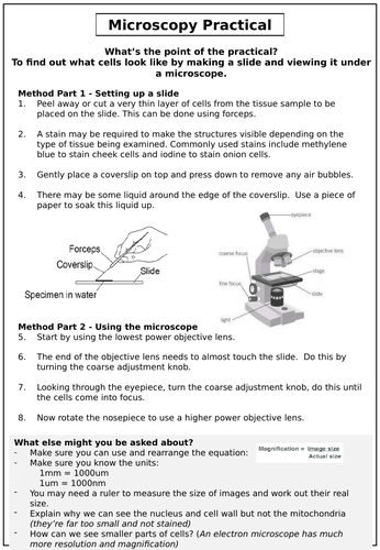 GCSE Microscopy Revision Worksheet | Teaching Resources