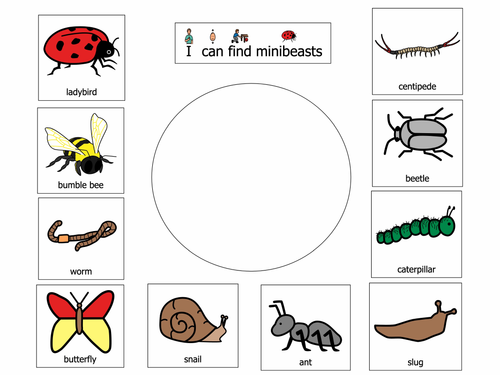 Minibeast hunt viewfinder (Boardmaker resource) | Teaching Resources