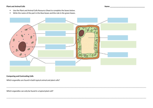 Animal and Plant Cells - Good for cover lesson | Teaching Resources