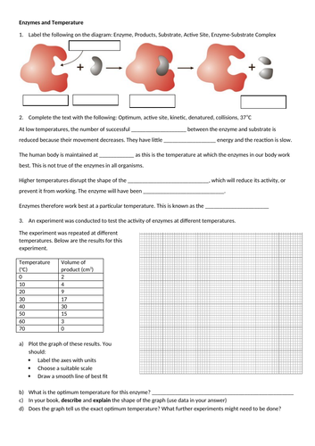 Enzymes and Temperature | Teaching Resources