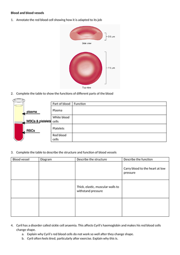 Blood and Blood Vessels GCSE Worksheet and Presentation | Teaching ...