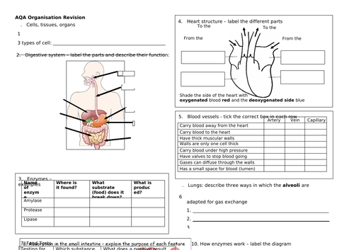 GCSE AQA Organisation Revision Worksheet | Teaching Resources