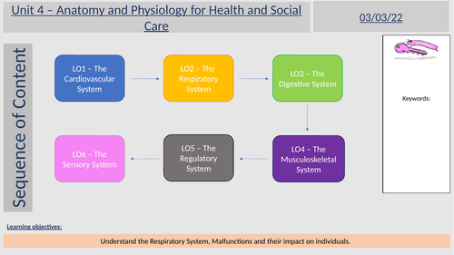 Health and Social Unit 4, LO2 | Teaching Resources