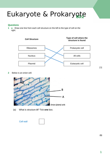 Eukaryotic and Prokaryotic Cells | Teaching Resources