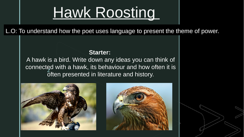 Hawk Roosting - Ted Hughes | Teaching Resources