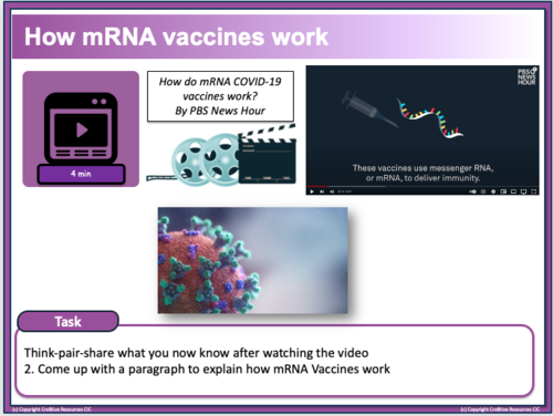 PSHE What do Vaccines do | Teaching Resources