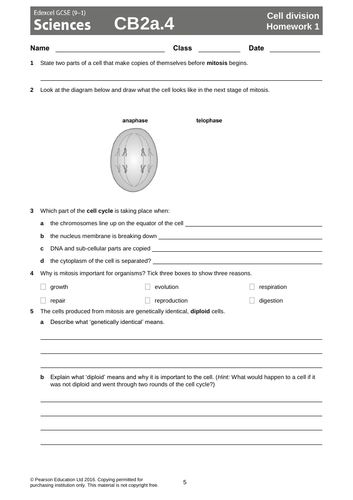 Edexcel CB2a Mitosis KS4 Lesson | Teaching Resources