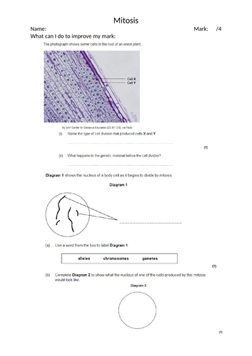 Edexcel CB2a Mitosis KS4 Lesson | Teaching Resources