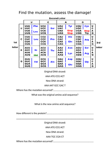 GCSE biology mutations | Teaching Resources