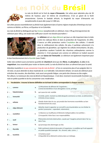 [French FFL B1, B2] Text on *Brazil nuts*: comprehension & written ...