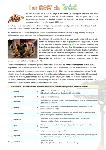 [French FFL B1, B2] Text on *Brazil nuts*: comprehension & written ...