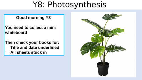 KS3 Plant Minerals | Teaching Resources