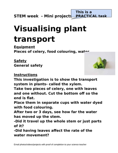 STEM week science week mini tasks | Teaching Resources