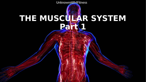 THE MUSCULAR SYSTEM #Part 1 | Teaching Resources