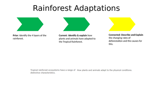 Tropical Rainforest Plant & Animal Adaptations - AQA GCSE | Teaching ...