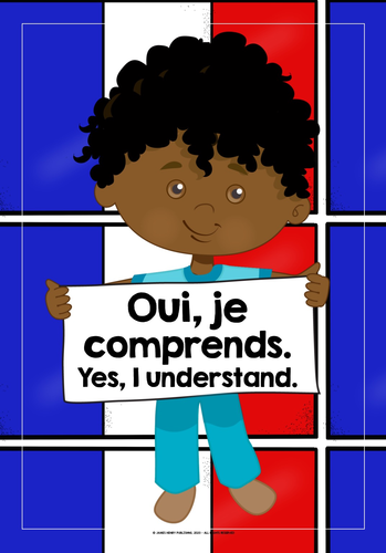 FRENCH CLASSROOM LANGUAGE POSTERS #2 | Teaching Resources