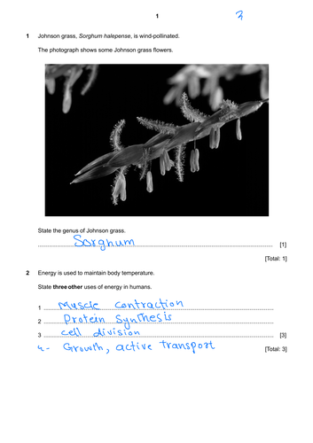 IGCSE Biology Unit#1 past exam topical Questions | Teaching Resources