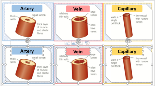 B4.2 The Blood Vessels AQA GCSE 9-1 science Trilogy | Teaching Resources