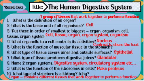 B3.2 The Human Digestive System AQA GCSE 9-1 Science GCSE | Teaching ...