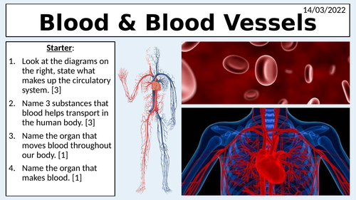 Blood, Blood Vessels, The Heart, Coronary Heart Disease & A Faulty ...