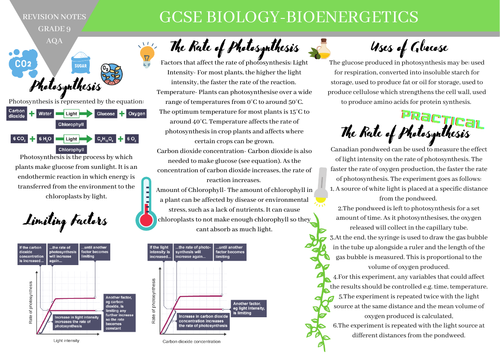 GCSE BIOLOGY Combined Science-Bioenergetics-AQA revision notes, Grade 9 ...