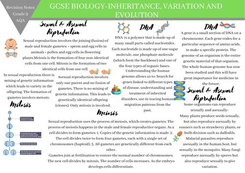 GCSE BIOLOGY Combined Science-Inheritance, Variation and Evolution-AQA ...
