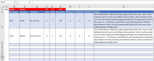 Report Writer - Microsoft Excel (create you own templates) | Teaching ...