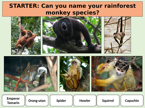 AQA GCSE Geography 9-1: The Living World | Teaching Resources