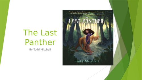 The Last Panther - Todd Mitchell Plans | Teaching Resources