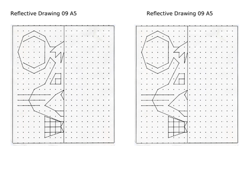 Reflective Symmetry | Teaching Resources