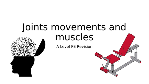 Joints movements and muscles - A Level PE - revision and exam prep ...