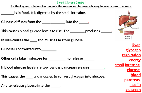 BTEC Level 3 Sports Nutrition Bundle | Teaching Resources