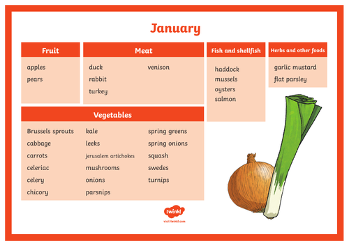 BTEC Level 1/2 Home Cooking Skills - 12 week SOW | Teaching Resources