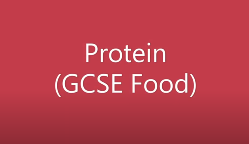 Protein GCSE Food | Teaching Resources