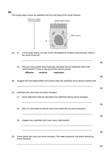 Diffusion, Osmosis (+ Practical) & Active Transport (4 lessons ...