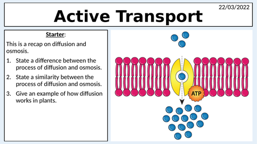 Diffusion, Osmosis (+ Practical) & Active Transport (4 lessons ...