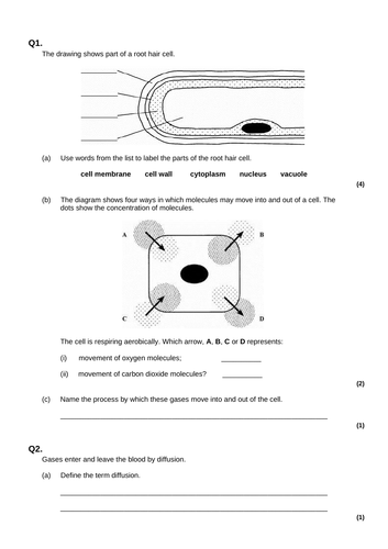 Diffusion, Osmosis (+ Practical) & Active Transport (4 lessons ...