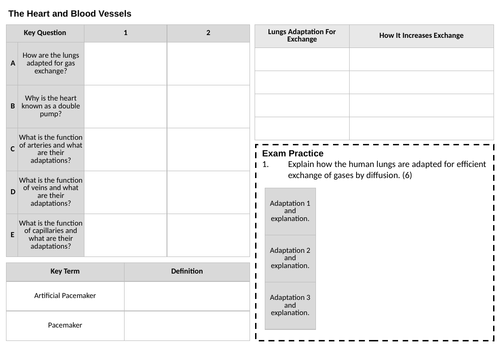 AQA GCSE Heart and Blood Vessels Revision Session | Teaching Resources
