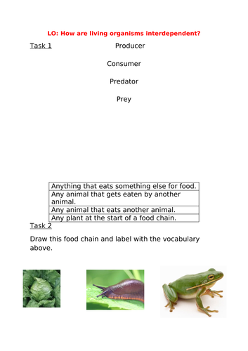 Photosynthesis Unit Science Biology Powerpoints Planning worksheets ...